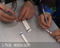Sciencemadness Discussion Board - Chromatography of marker pens on ...