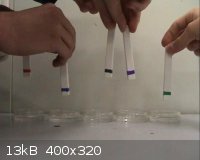 Sciencemadness Discussion Board - Chromatography of marker pens on ...