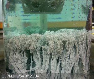 Sciencemadness Discussion Board - Electrolytic Silver Cell - Powered by ...